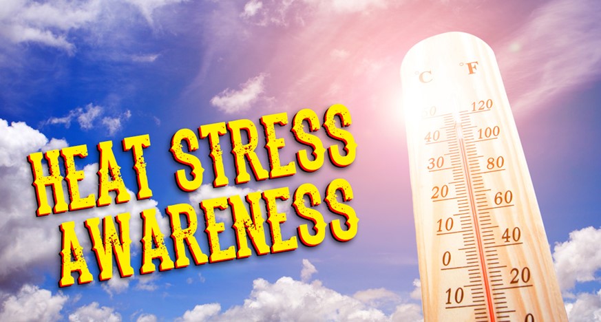 MONRONeYnews: Construction Zone - Heat Stress Awareness